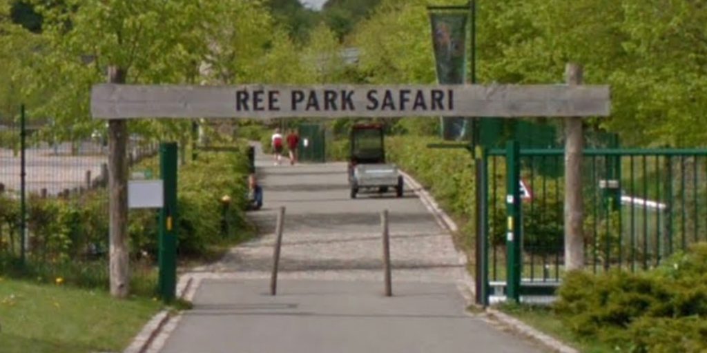 Ree Park Safari udsender efterlysning: De er stukket af