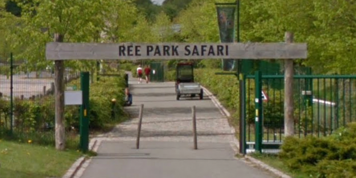 Ree Park Safari udsender efterlysning: De er stukket af