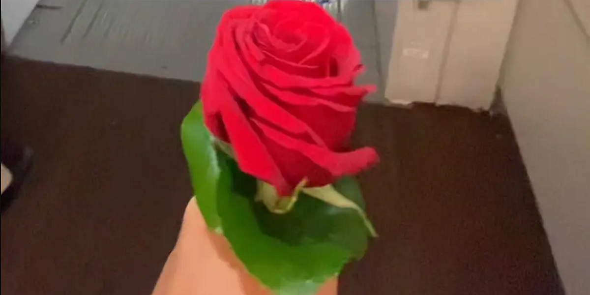 Qatar Airways gav denne rose til kvinde ombord på fly: Den skulle hun ...
