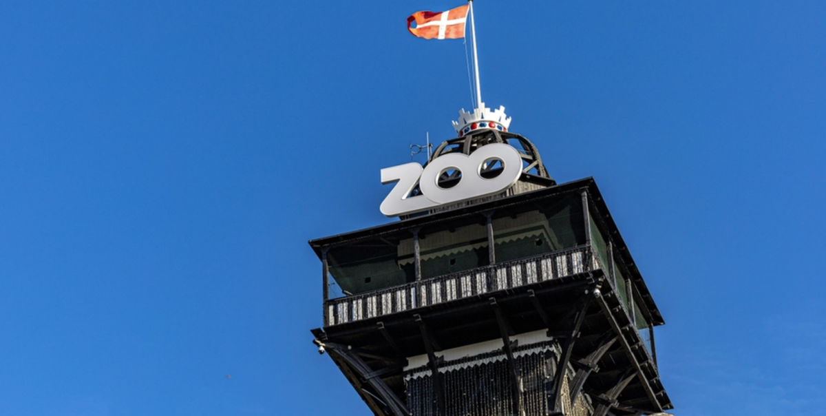 København Zoo delte stor nyhed for et år siden: Nu sker det endelig